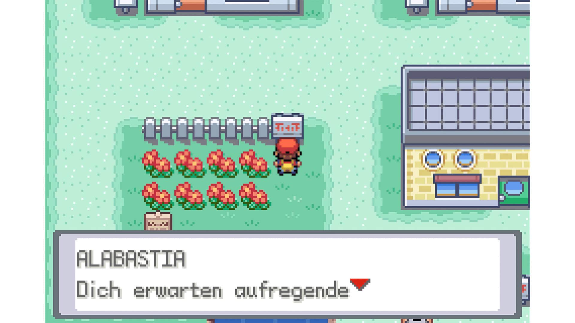 Pokémon Feuerrot - My Nintendo Store