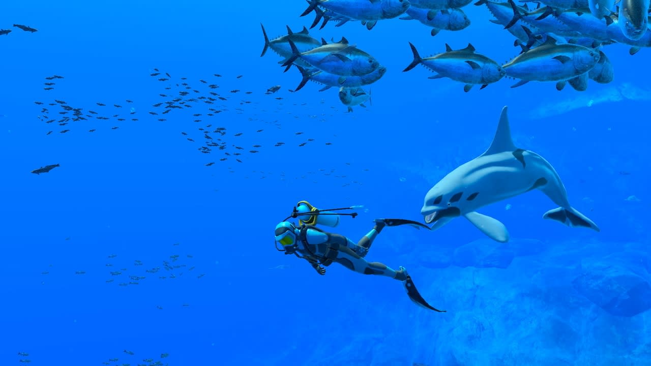 Endless Ocean Luminous - My Nintendo Store