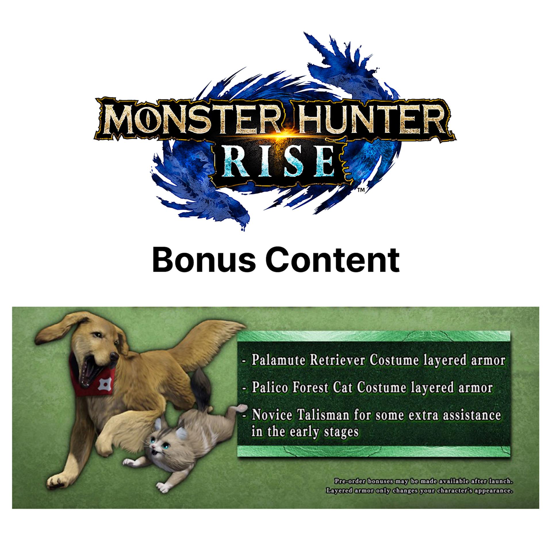 Nintendo Switch MONSTER HUNTER RISE Edition - My Nintendo Store