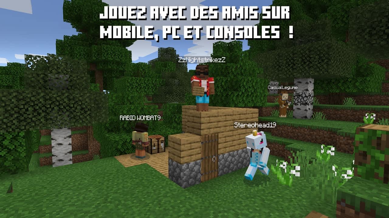 Minecraft - My Nintendo Store