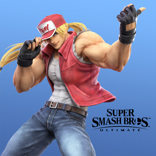 Set sfidante di Terry Bogard - My Nintendo Store