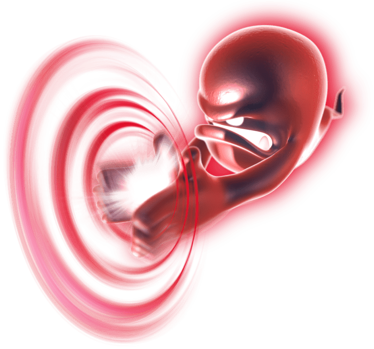 Luigi's Mansion 2 HD - Nintendo Switch - Games - Nintendo