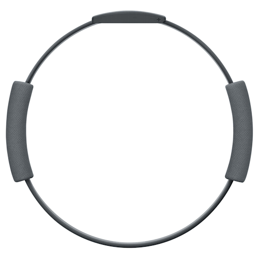 Nintendo Switch (Grey) Ring Fit Adventure Pack - My Nintendo Store