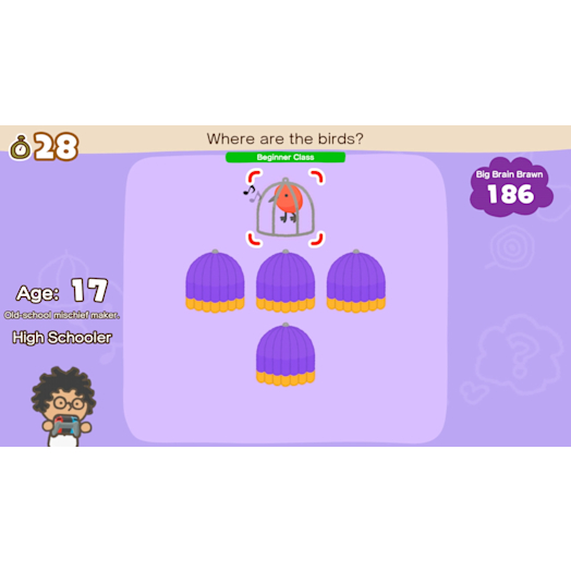 Big Brain Academy: Brain vs. Brain - My Nintendo Store