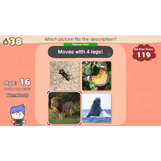 Big Brain Academy: Brain vs. Brain - My Nintendo Store