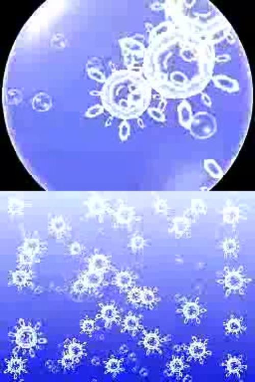 Electroplankton | Nintendo DS | Giochi | Nintendo IT