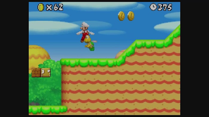 Nintendo ds mario bros store